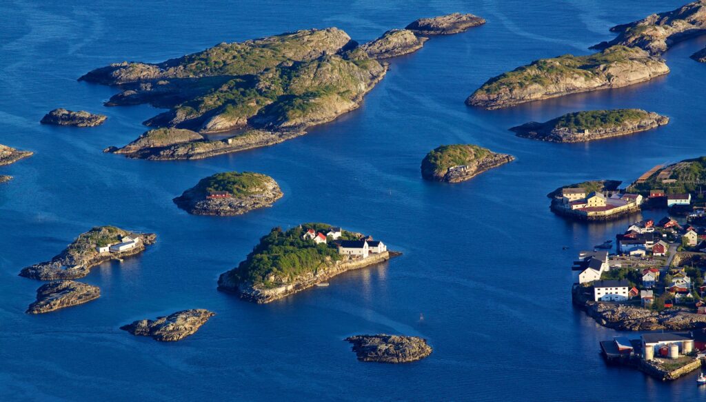 Insights Hub | Xynteo